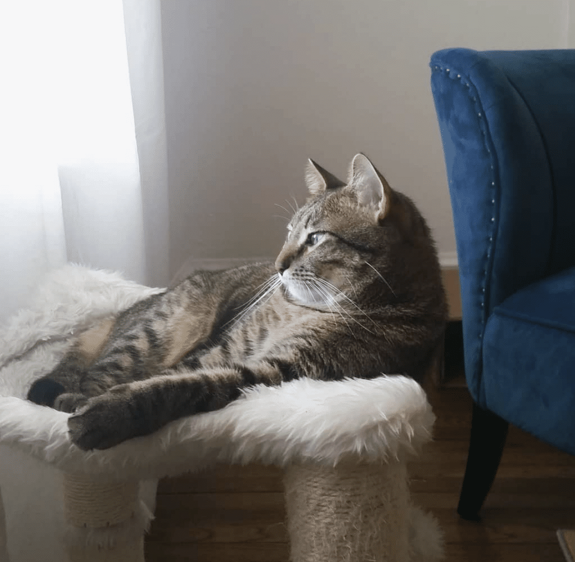 Meet TheCR Team | Birdie Hansen - The Community Roundtable