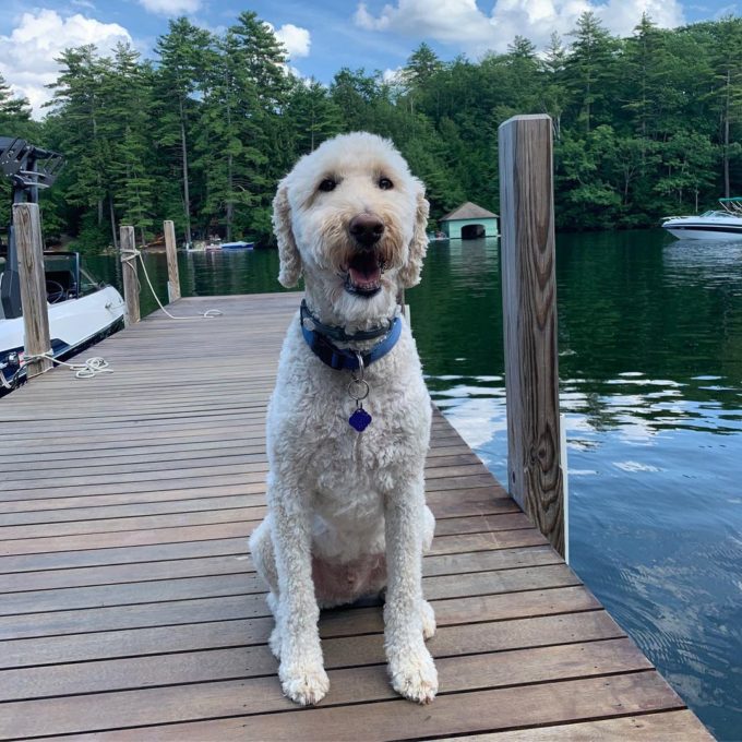 Meet TheCR Team | Jim Storer - The Community Roundtable